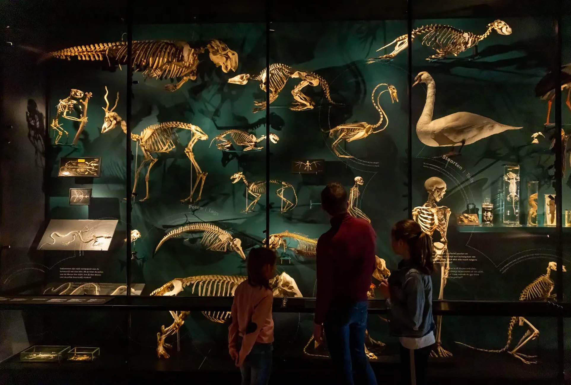 Best Museums in Utrecht: From Art to History, A Cultural Explorer’s ...